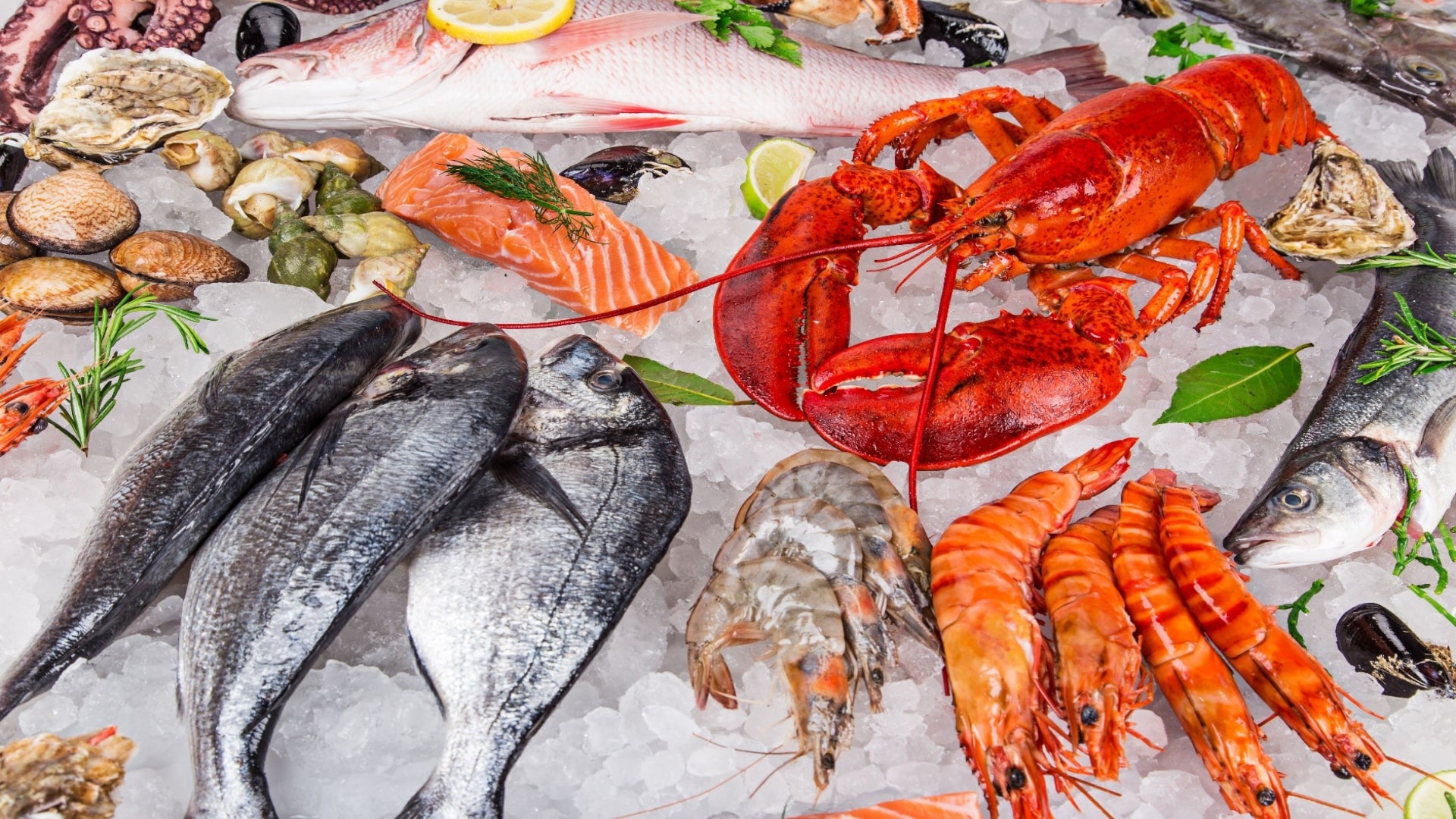 Southern Sea Food – The Wonders of the Ocean On Your Plate