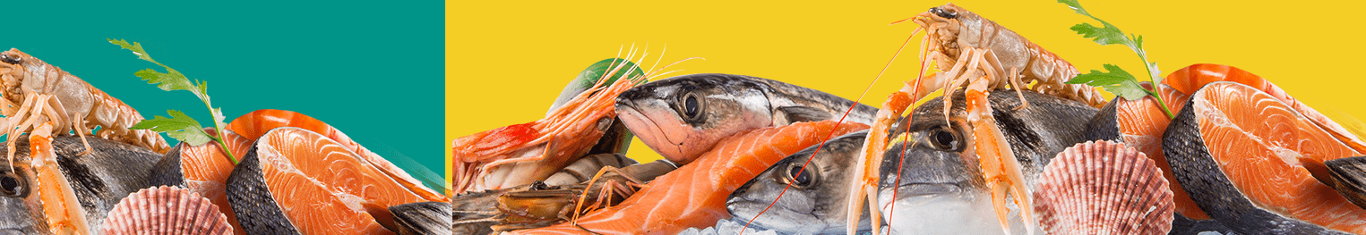 Southern Sea Food – The Wonders of the Ocean On Your Plate